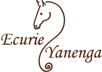 Yanenga – YanAnga – Yan Anga