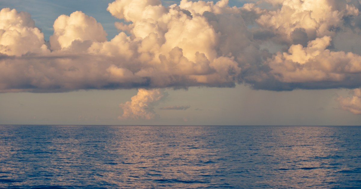 YanAnga English – Yan Anga