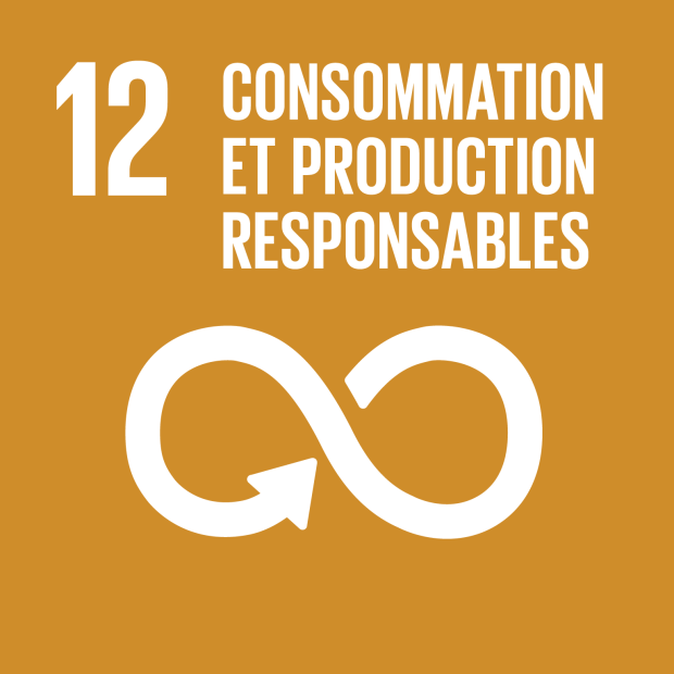 Cours de chleuh 2024/2025 – Yan Anga